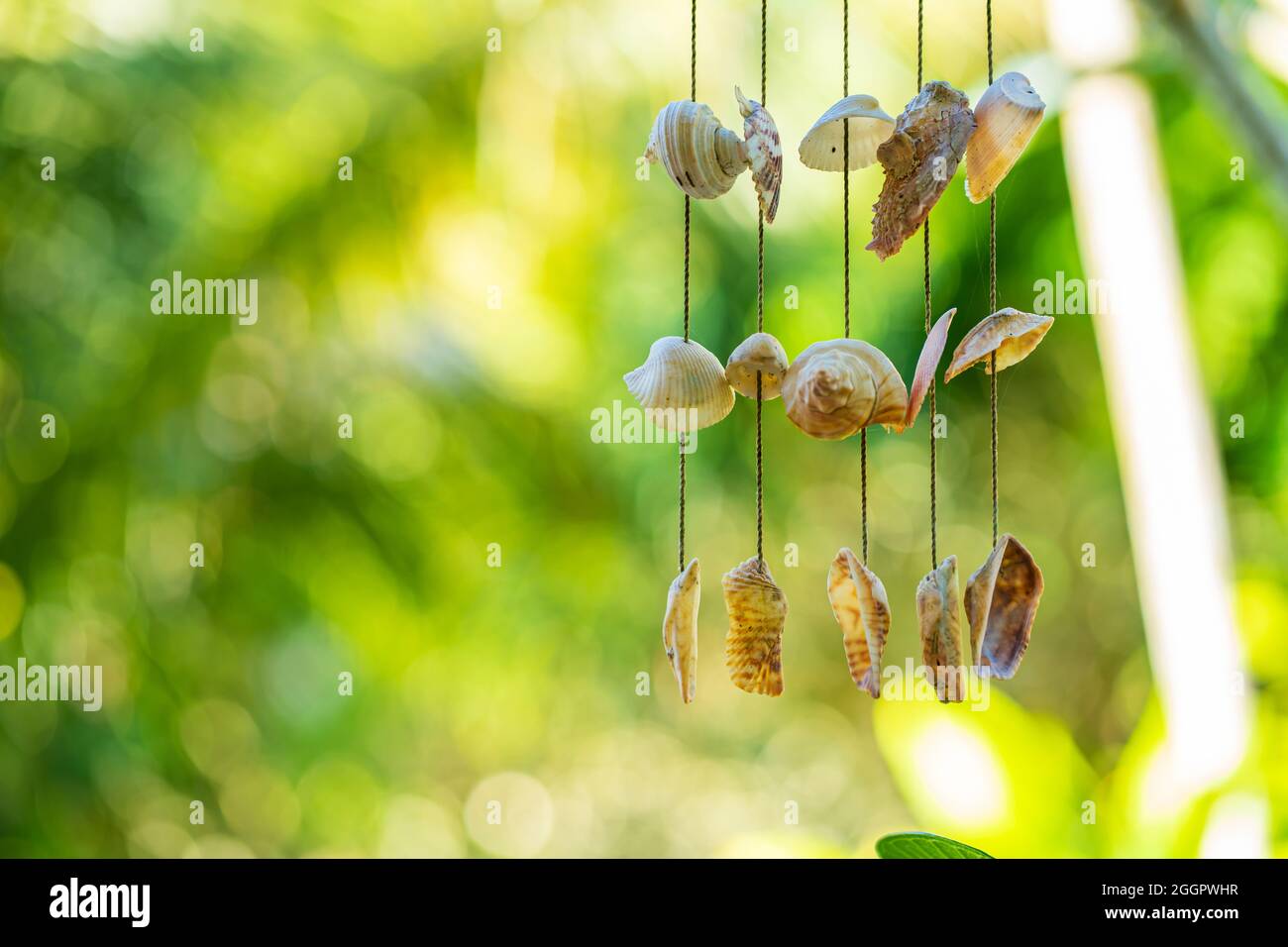 The doorbell is made from shells. Seashells on a rope Stock Photo - Alamy