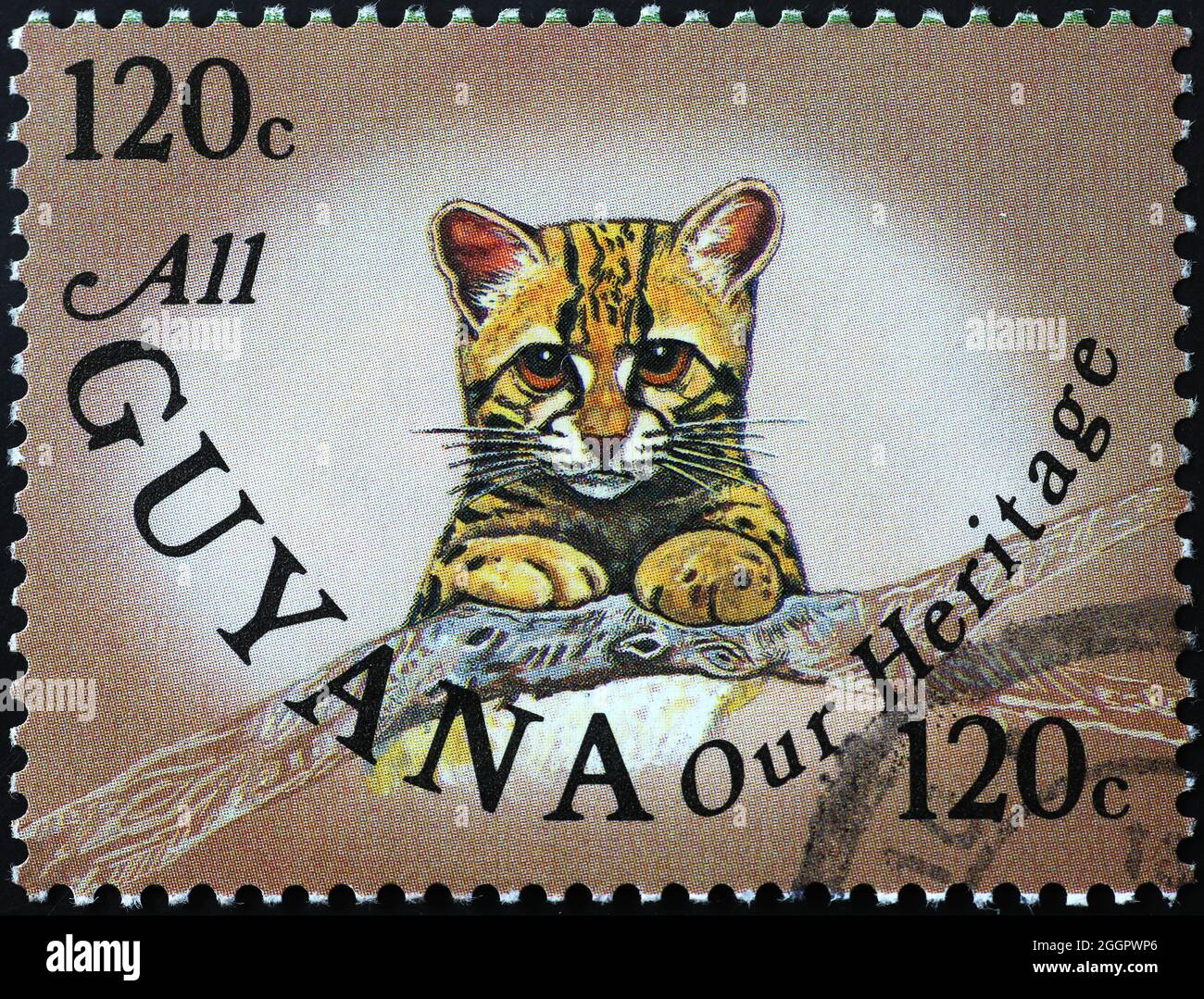 Guyana postage stamp hi-res stock photography and images - Alamy