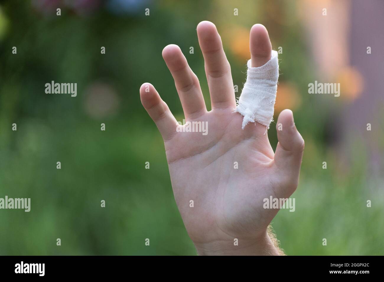 Teenager's bandaged finger after cut Stock Photo - Alamy
