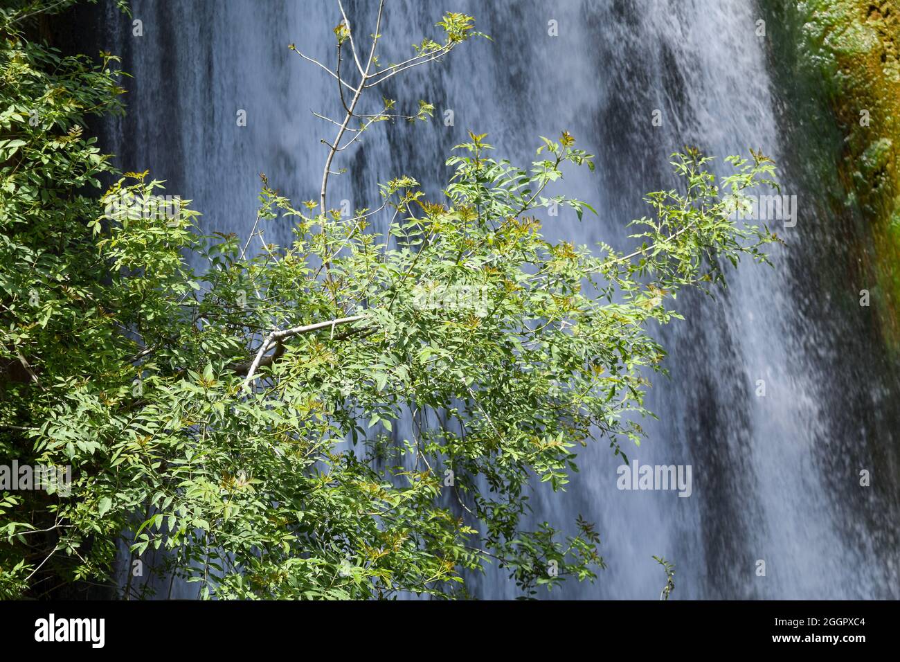 View of the waterfall of Kefrida in Bejaia, Algeria Stock Photo - Alamy