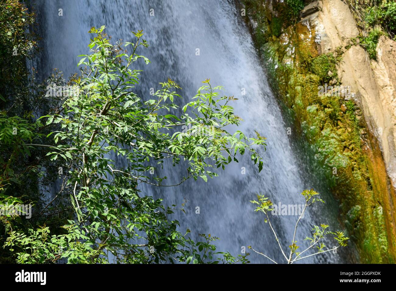 View of the waterfall of Kefrida in Bejaia, Algeria Stock Photo - Alamy