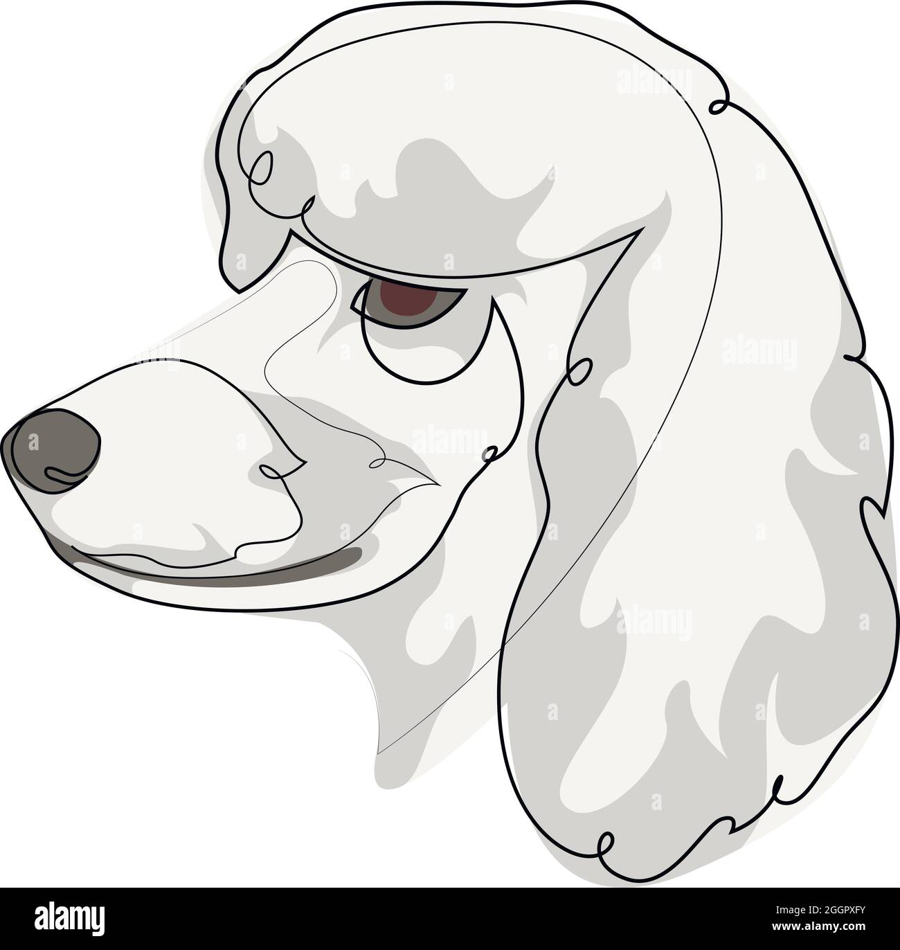 French Poodle Drawing