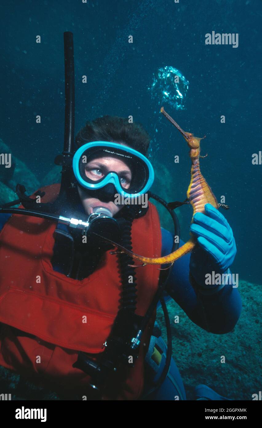 Underwater Dragon High Resolution Stock Photography and Images - Alamy