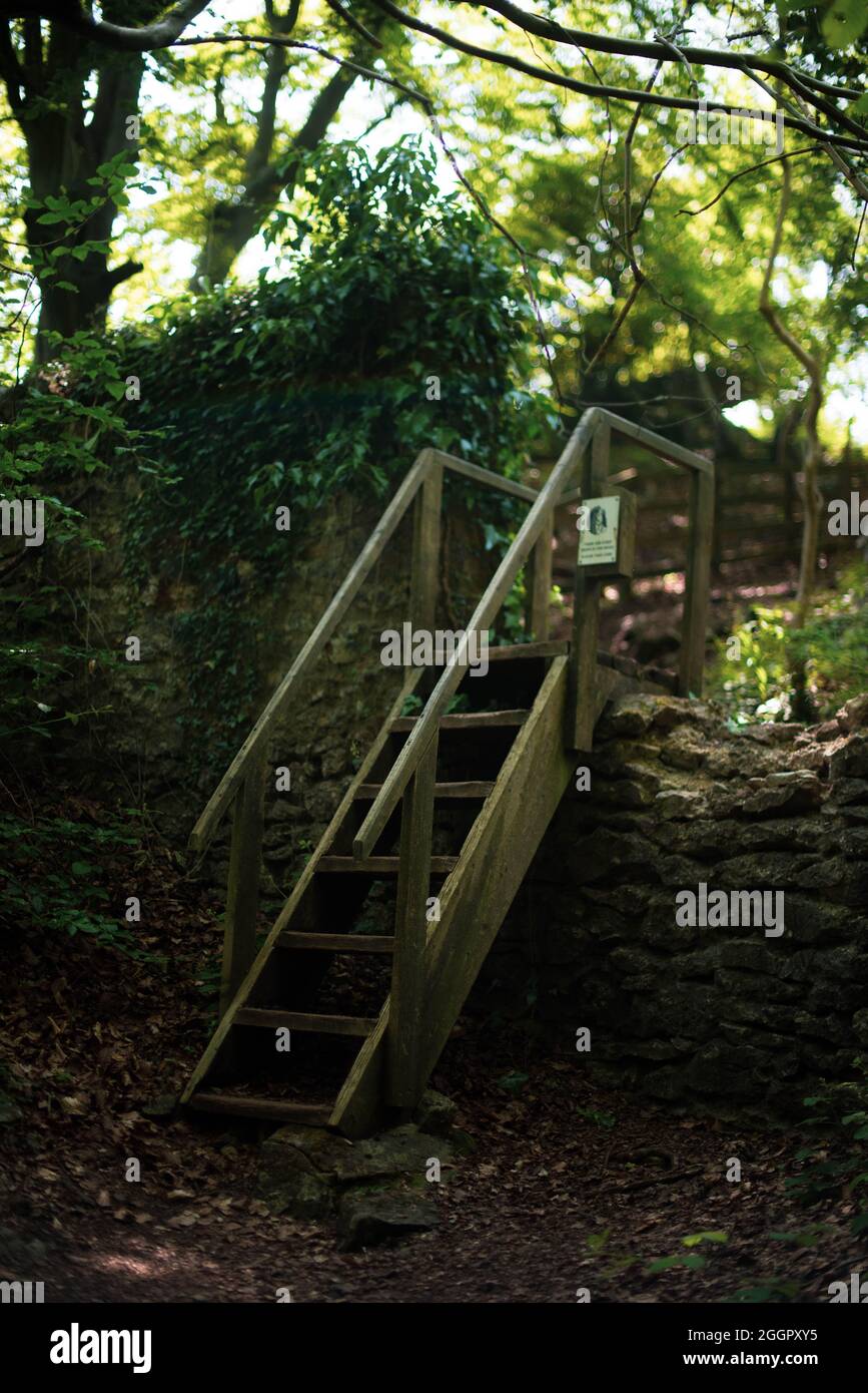 Symonds Yat, Forest of Dean Stock Photo - Alamy