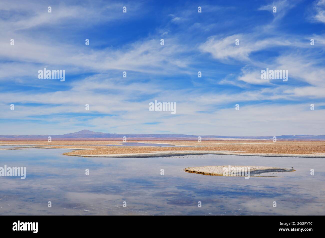 The Atacama desert salt flat (Salar de Atacama) landscape reflection ...