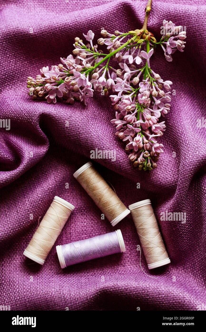 Lilac branch, threads, and purple fabric. Graphic resources Stock Photo ...