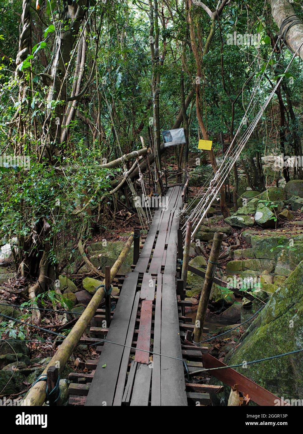 Hanging bridge made old boards hi-res stock photography and images - Alamy
