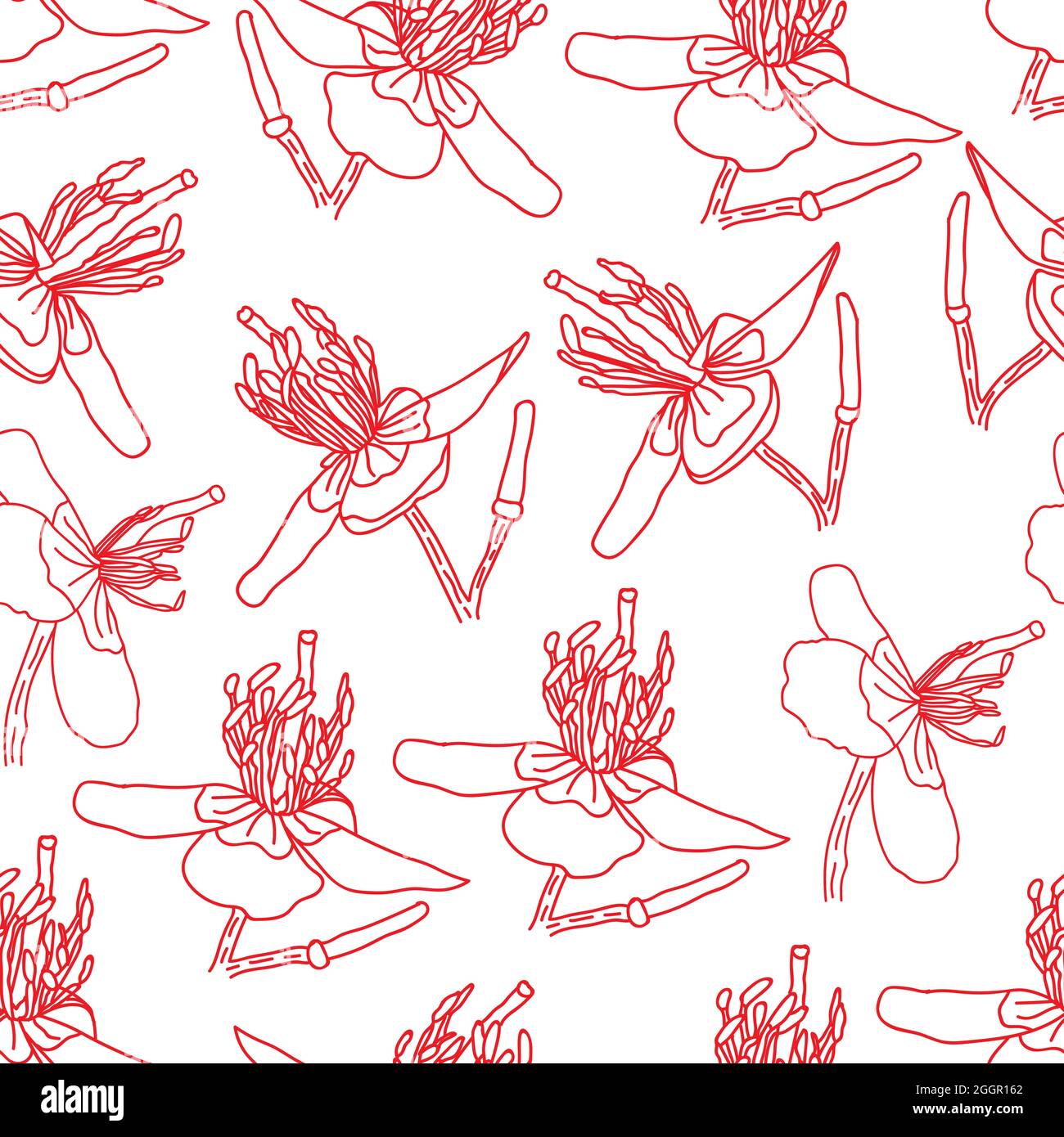 Red Outline Celandine Flower Repeat Pattern Design Stock Vector Image ...