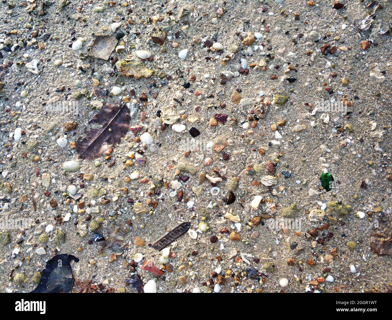 Sandy beach texture. Broken seashells stones and sand Stock Photo - Alamy