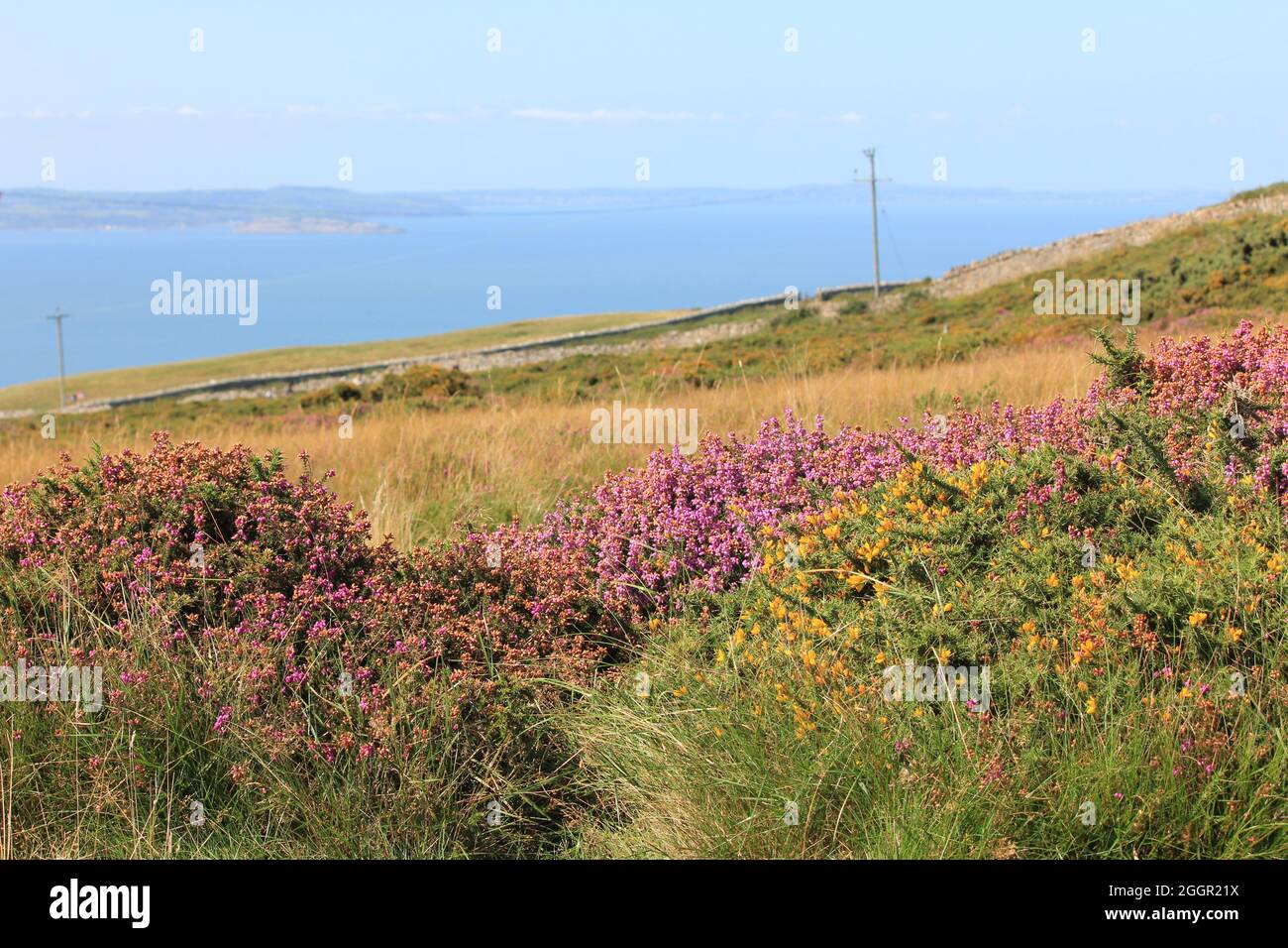 Great orme aerial cable cars hi-res stock photography and images - Alamy