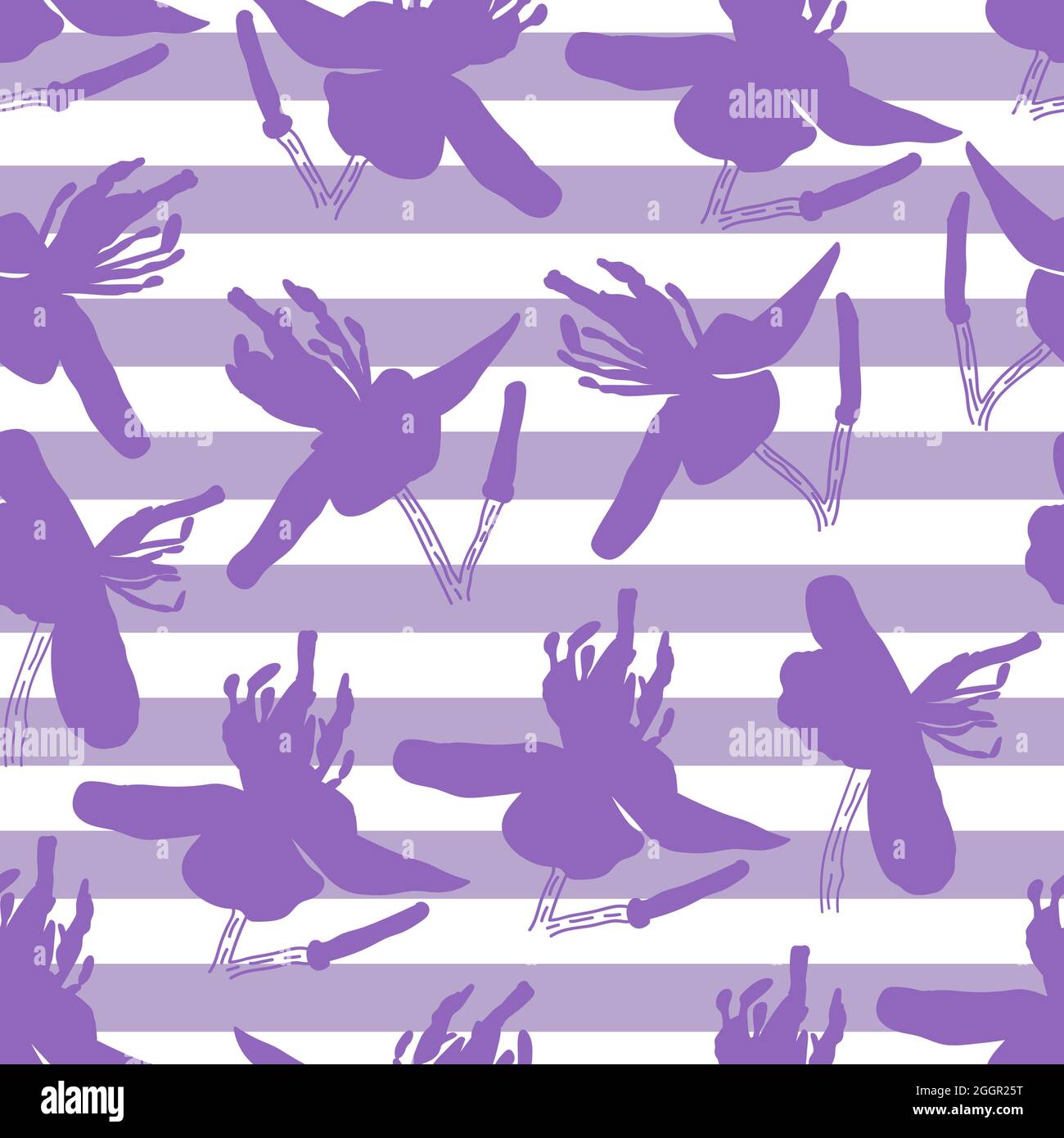 Purple stripe hi-res stock photography and images - Alamy