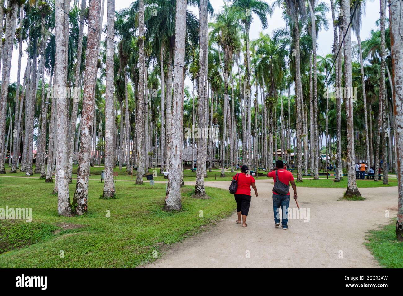 PARAMARIBO, SURINAME - AUGUST 5, 2015: Palmentuin park in Paramaribo ...
