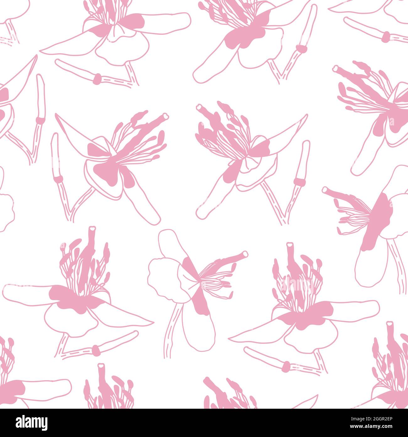 Pastel Pink Light Flower Pattern Stock Vector Image & Art - Alamy