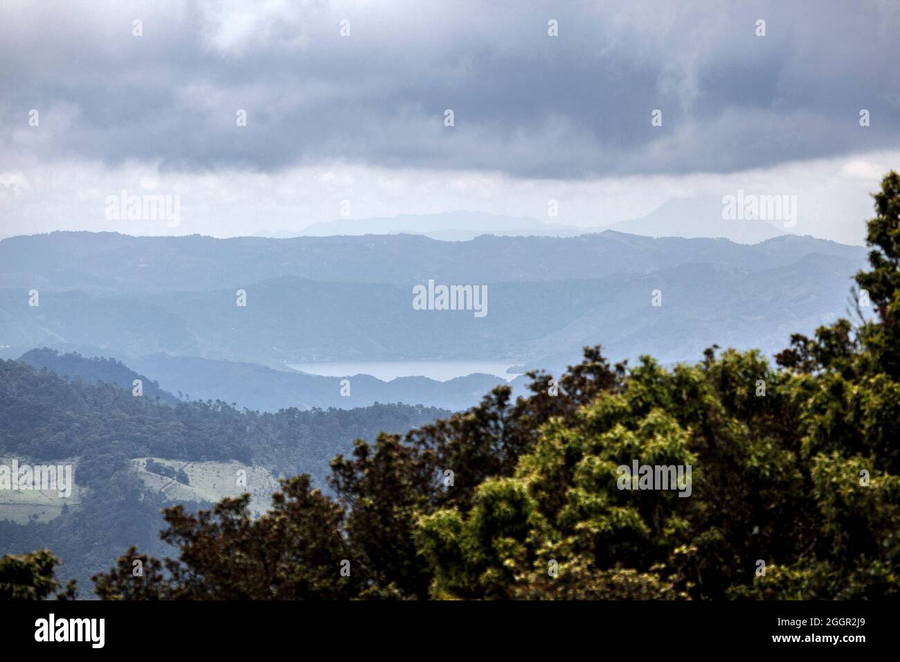 General view of a Corn field through the mist located at San Jose ...