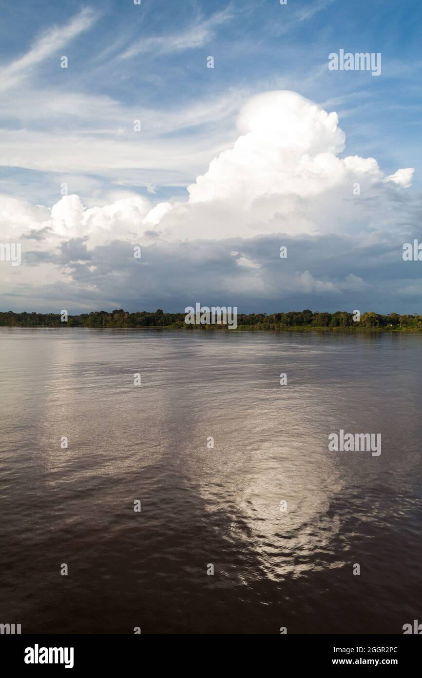 Rainforest amazonian brasil brazilian hi-res stock photography and ...
