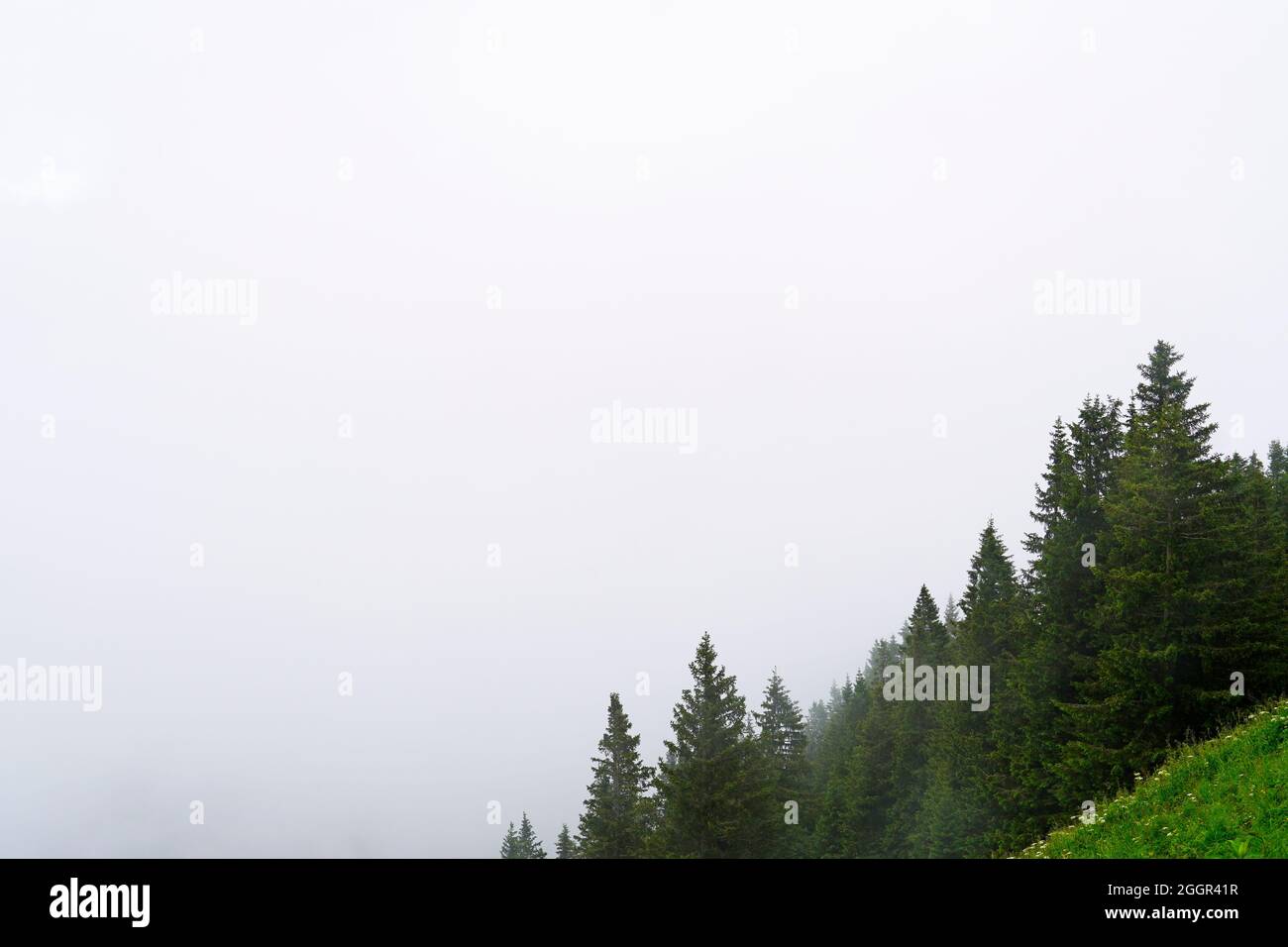 Bad visibility hi-res stock photography and images - Alamy