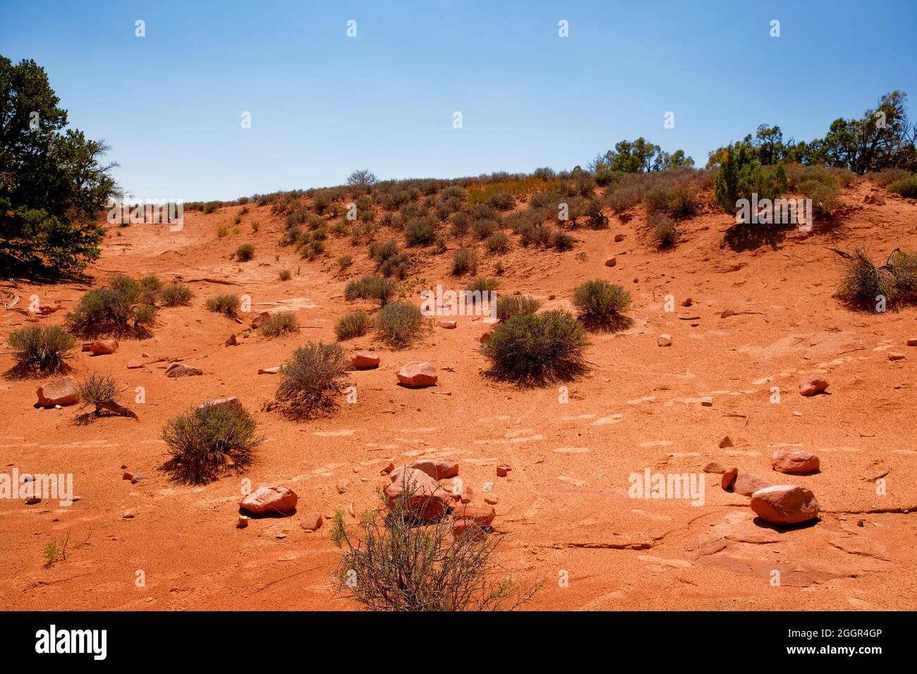 Landscape of a deserted area under the sunlight in Zion National Park ...