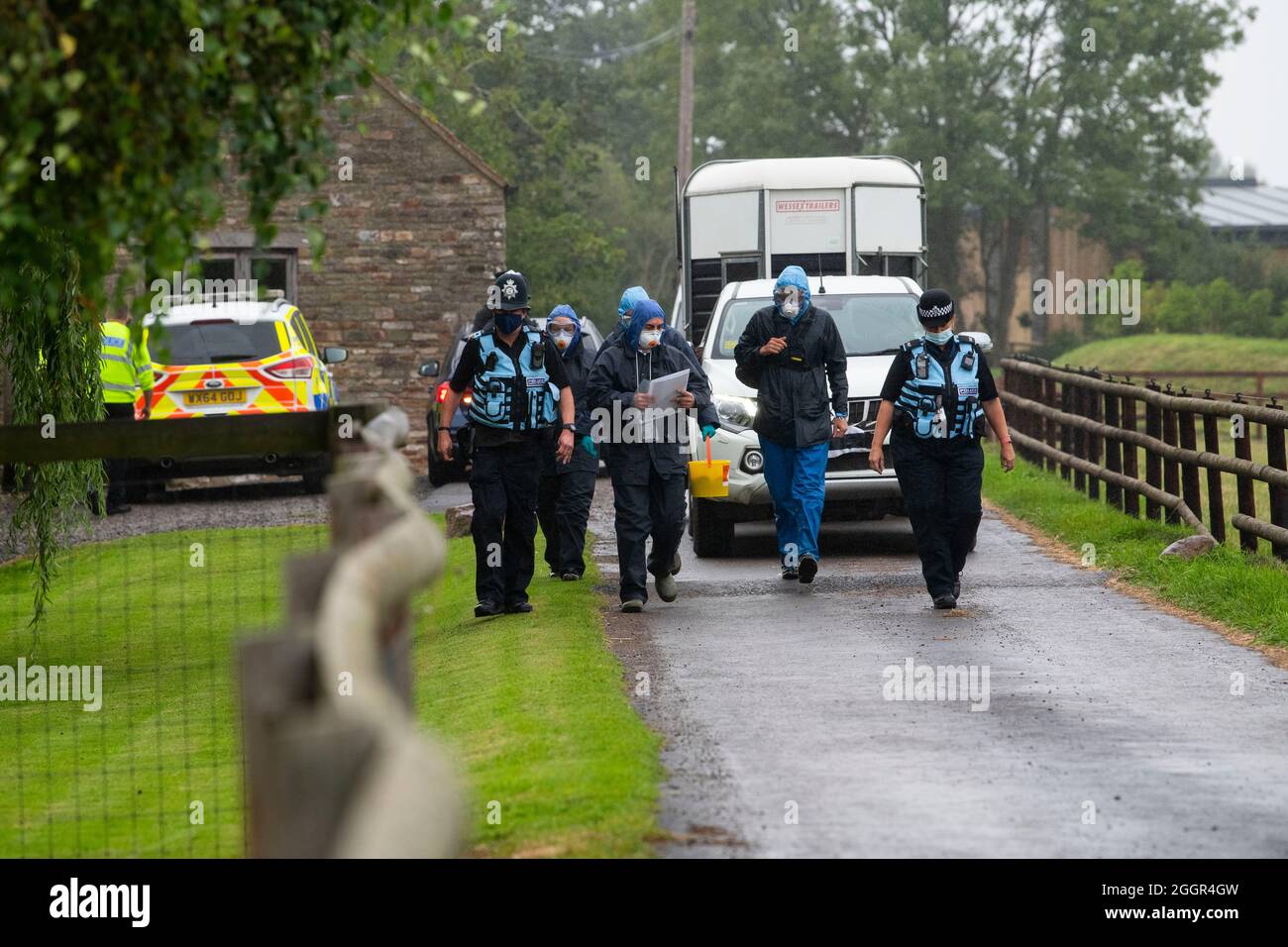 Bovine respiratory hi-res stock photography and images - Alamy