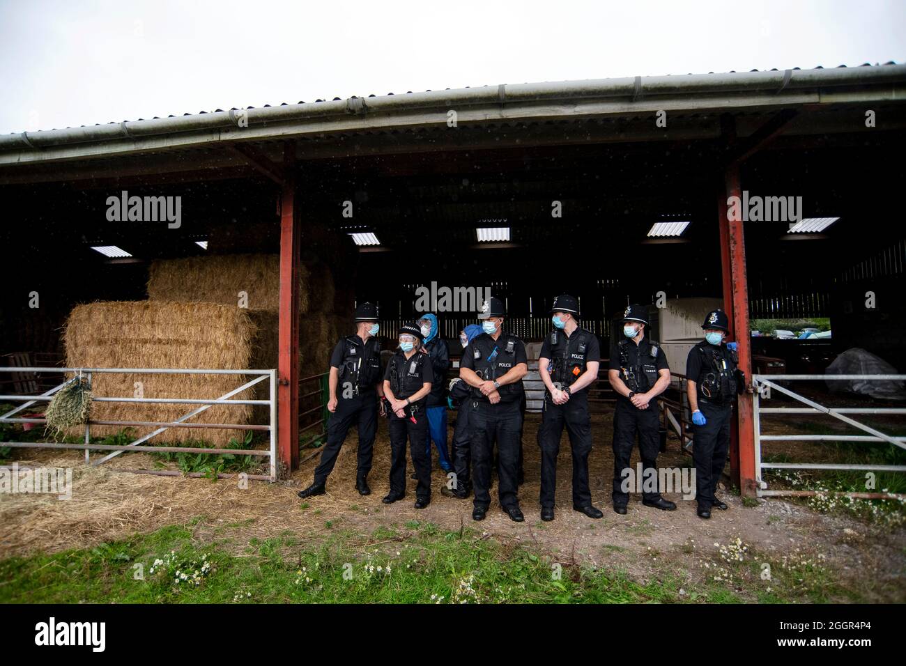 Geronimo alpaca helen macdonald hi-res stock photography and images - Alamy