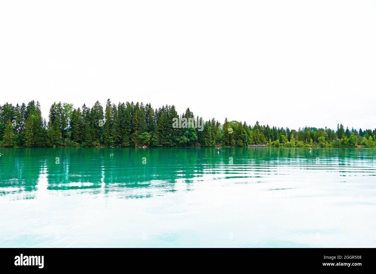 Lech reservoir in Lechbruck am See. View of the lake with the ...