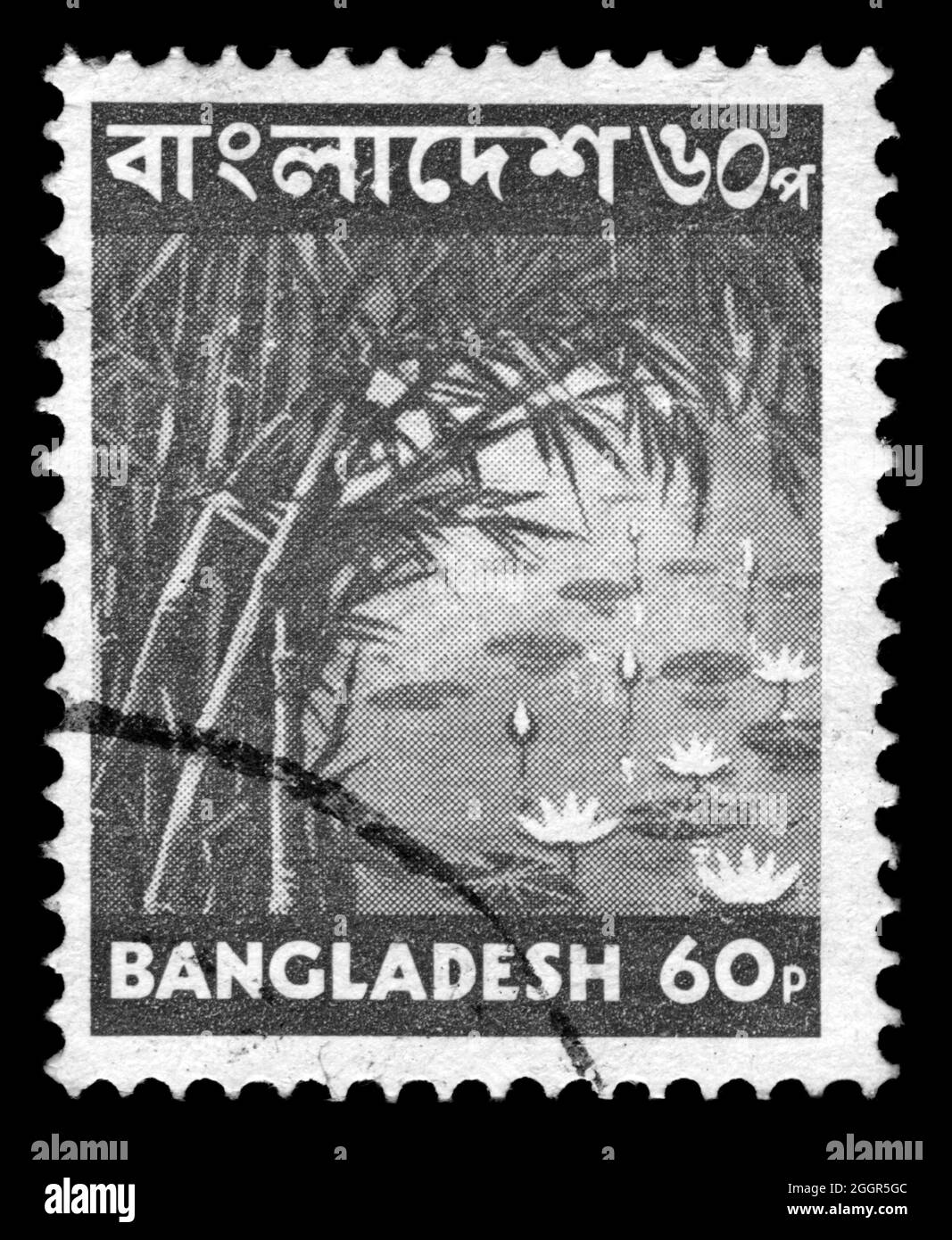Photo stamp bangladesh hi-res stock photography and images - Alamy