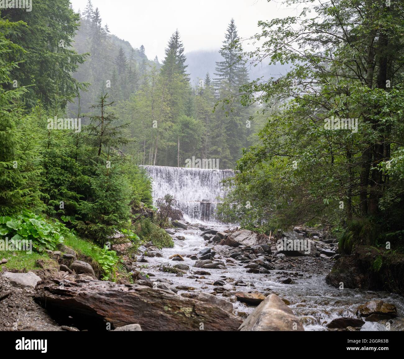 Beautiful waterfall evergreen trees hi-res stock photography and images ...