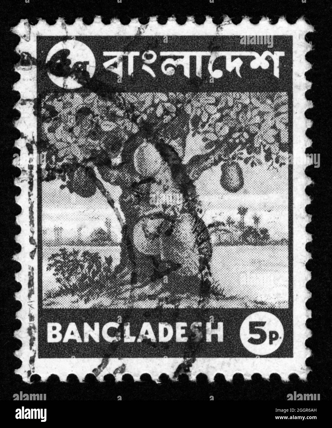 Photo stamp bangladesh hi-res stock photography and images - Alamy