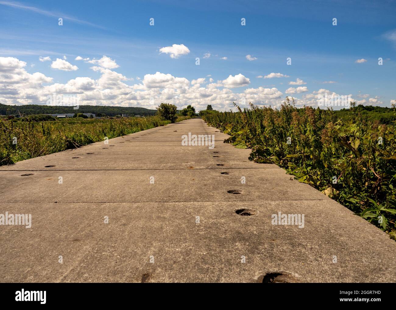 Concrete slab road in the greenfiled Stock Photo - Alamy