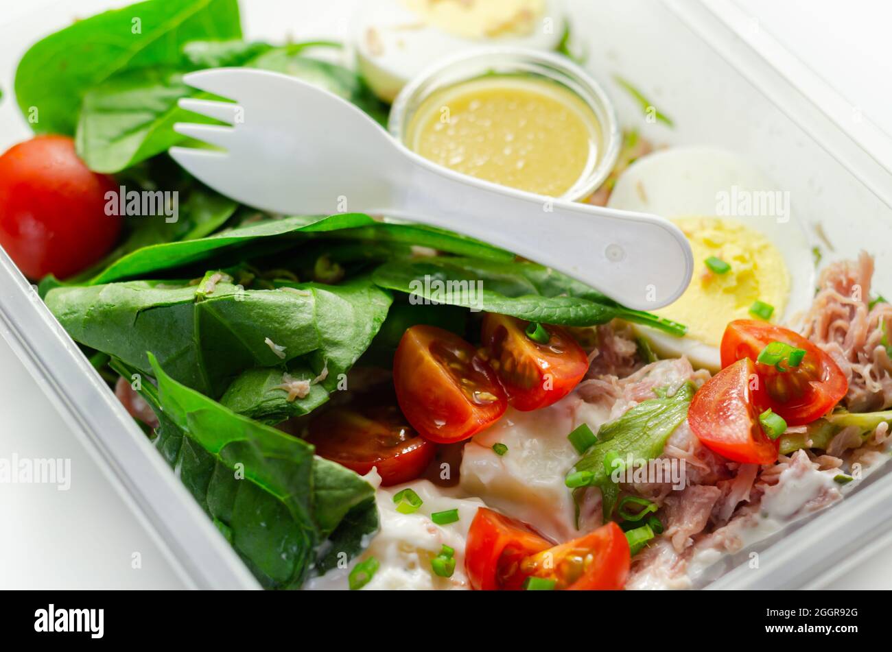 Healthy salad in the plastic food box, potato salad with hard boiled ...
