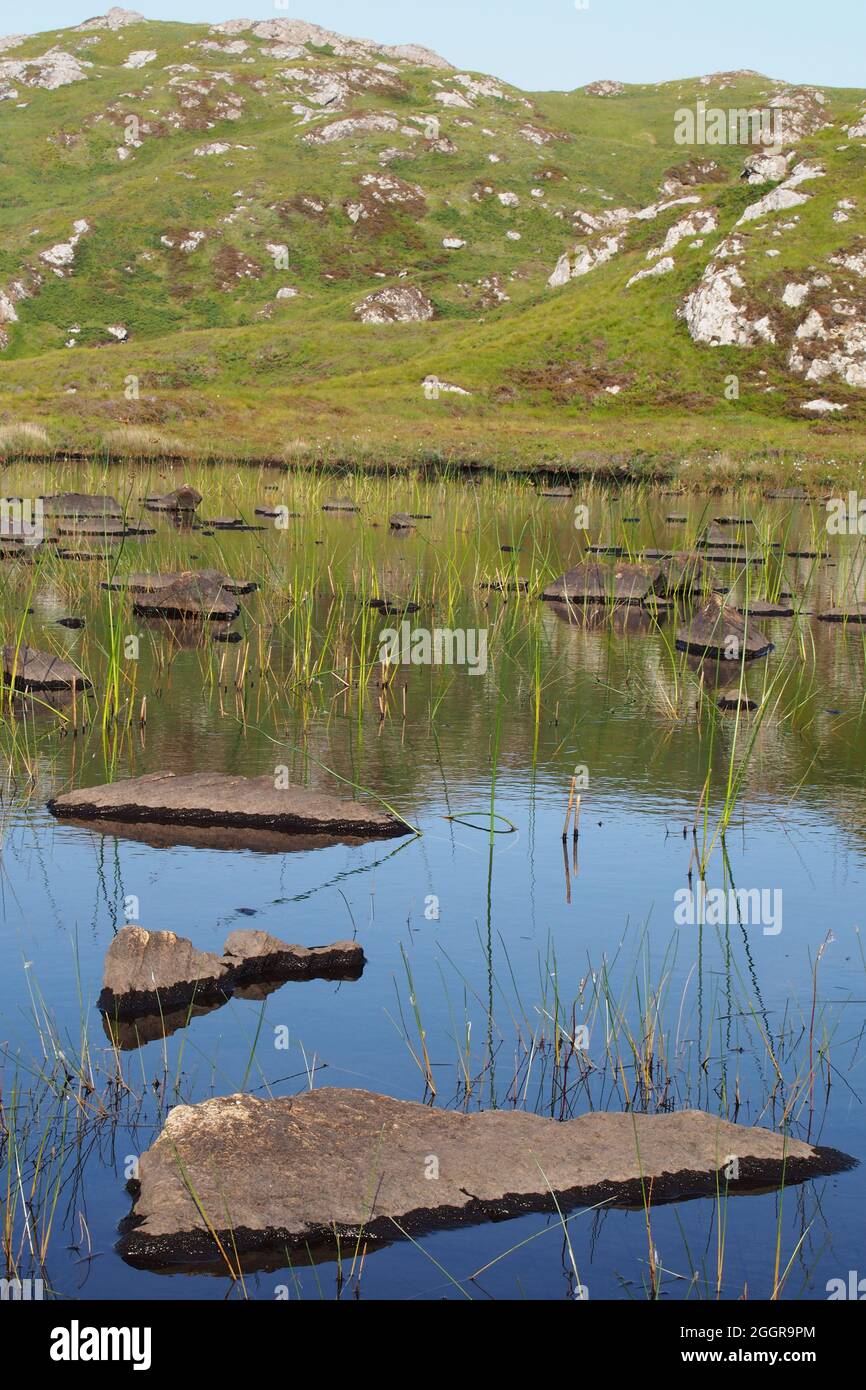 A view of rocks in a Scottish lochan surrounded by spikes of plants ...