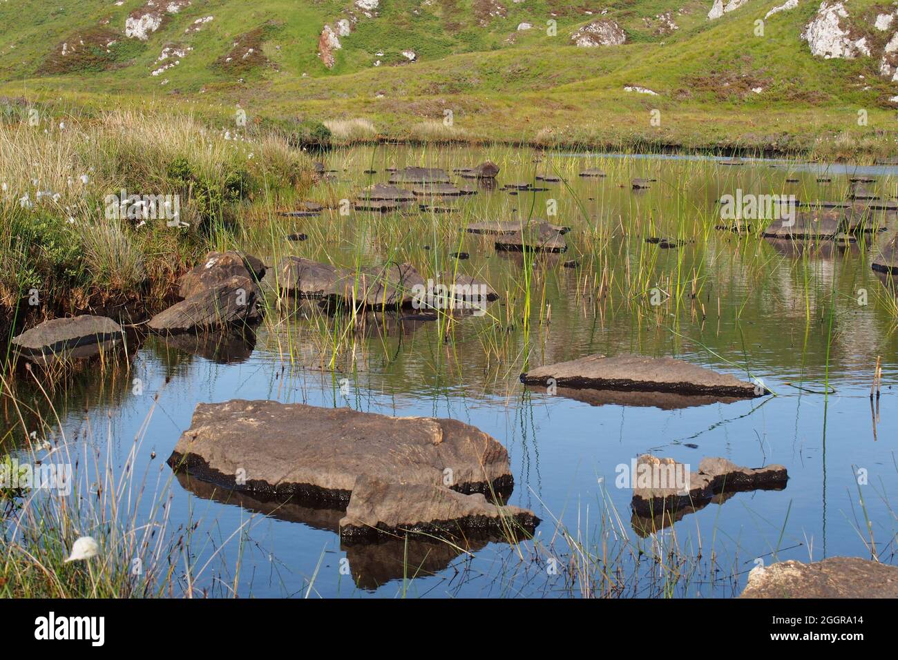 A view of rocks in a Scottish lochan surrounded by spikes of plants ...