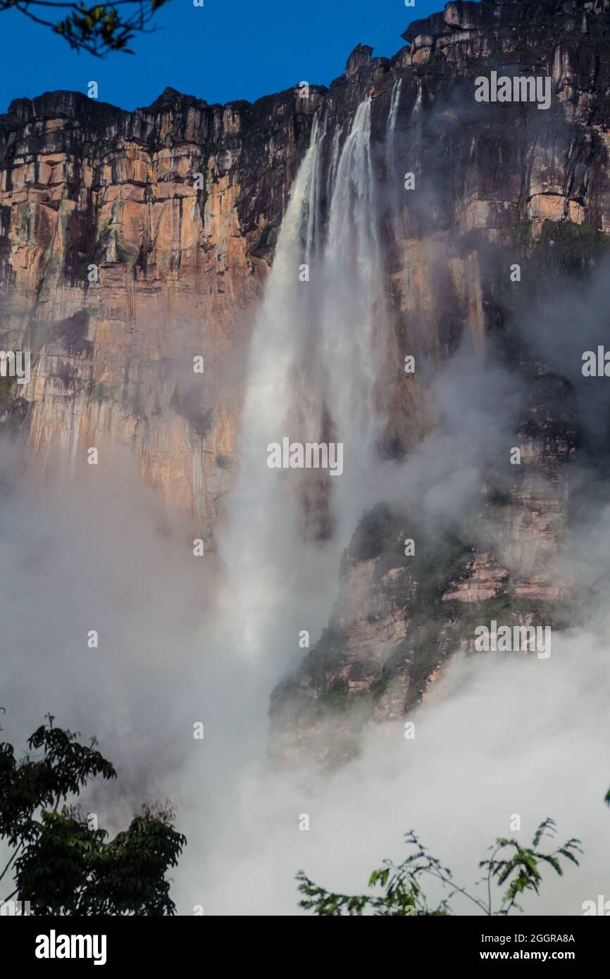 Angel falls salto angel worlds hi-res stock photography and images - Alamy