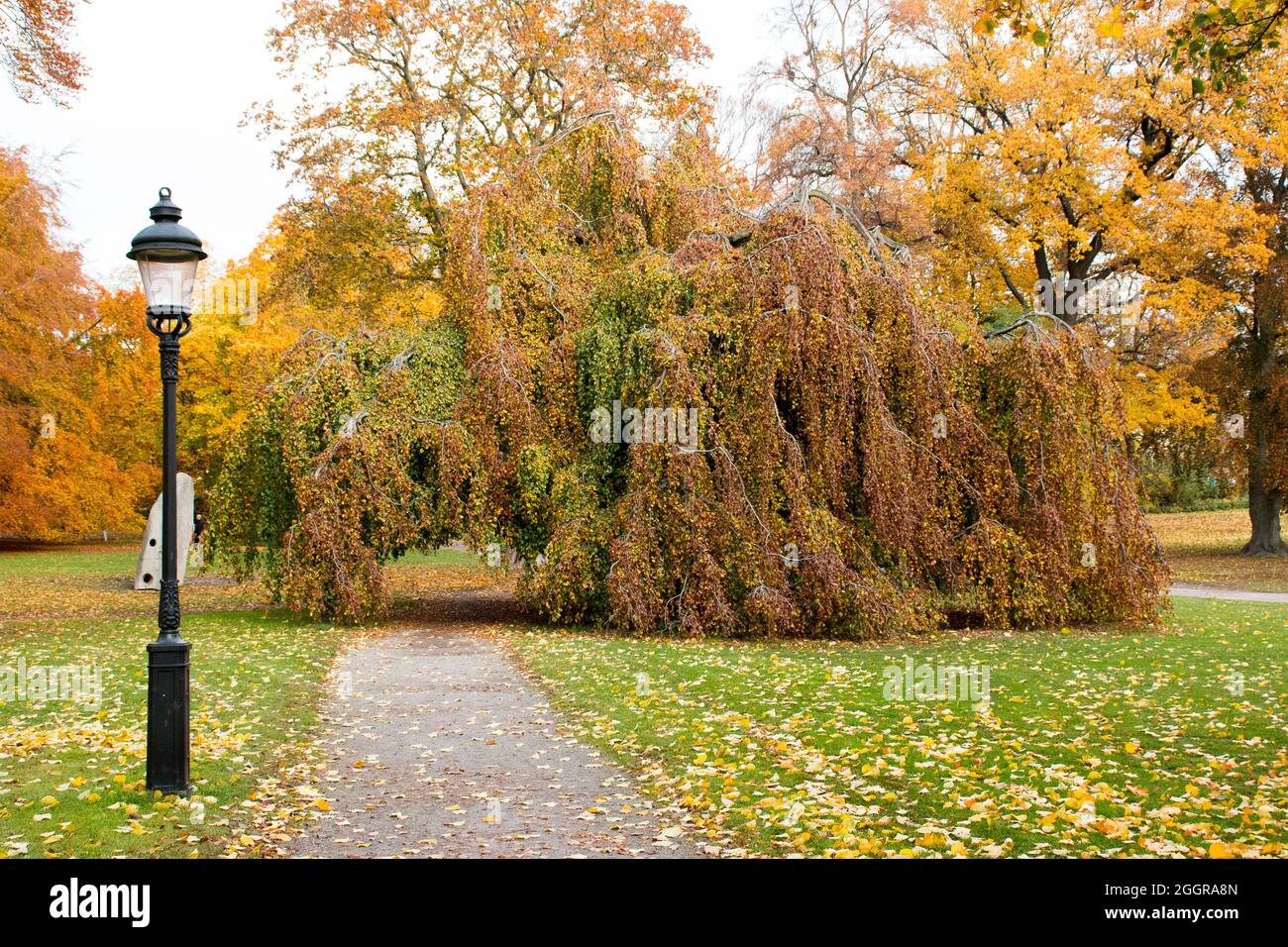 Autumn in Stockholm Stock Photo - Alamy