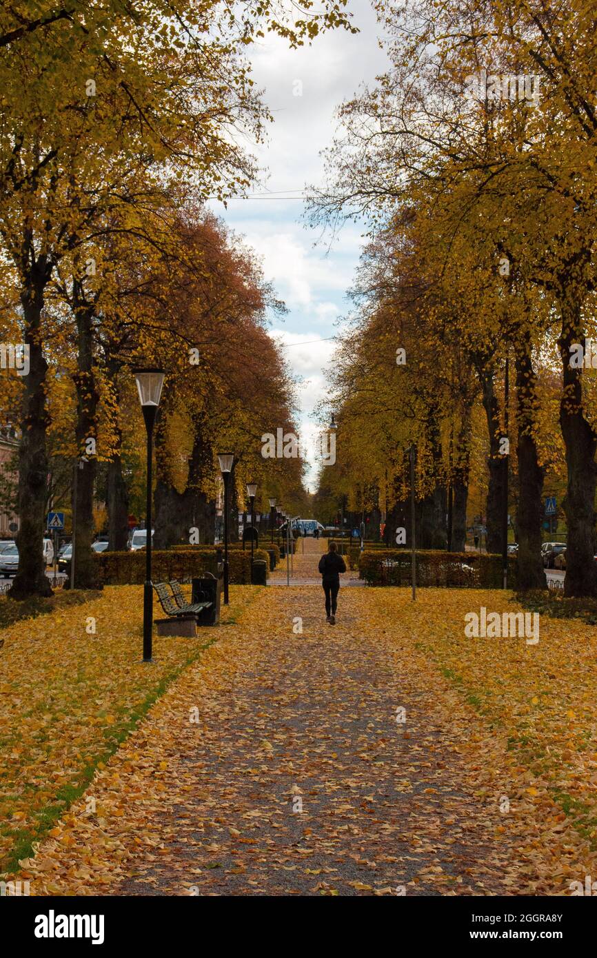 Autumn in Stockholm Stock Photo - Alamy