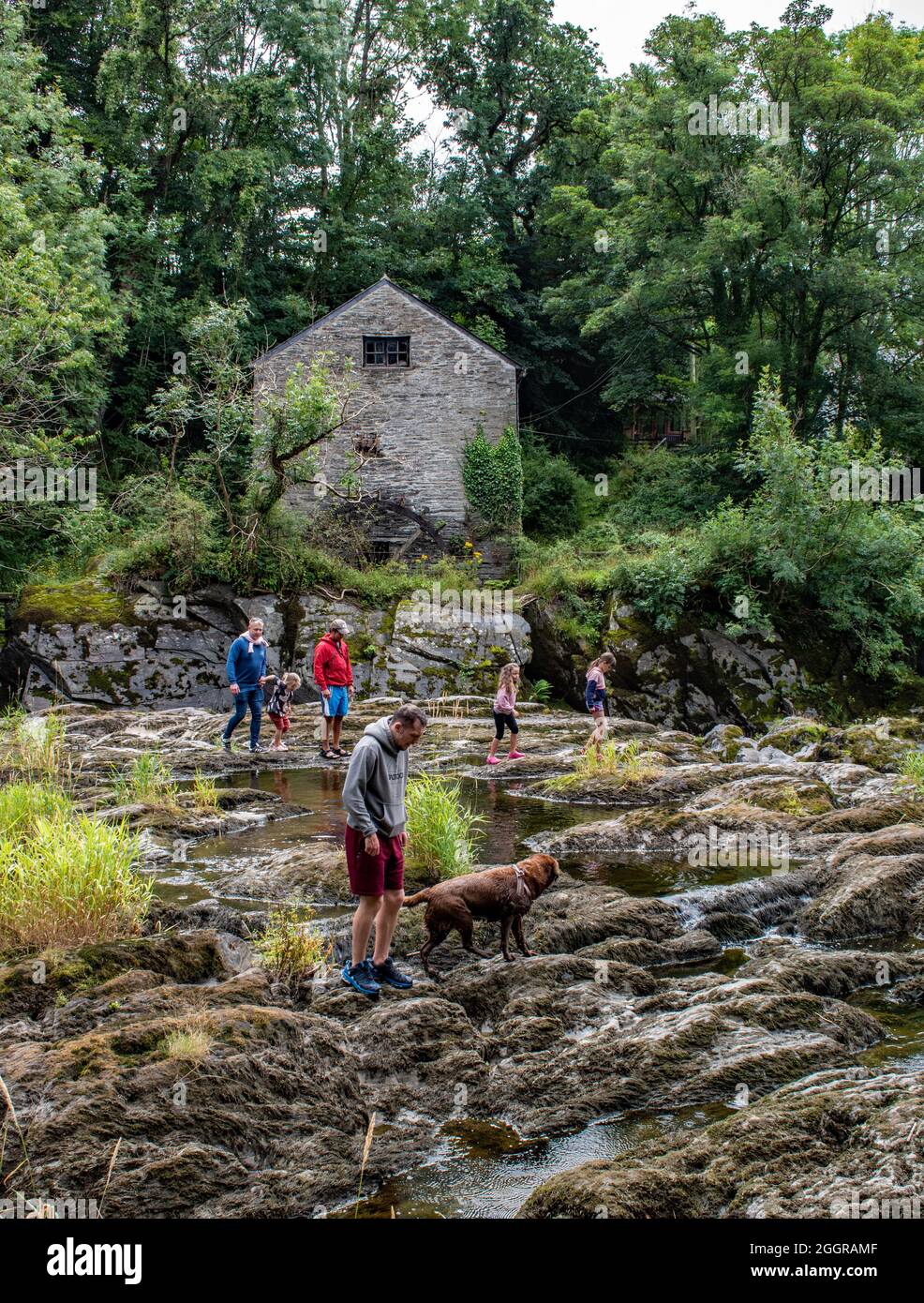 Cenarth Falls Water Mill in the village of Cenarth in Ceredigion, Wales ...