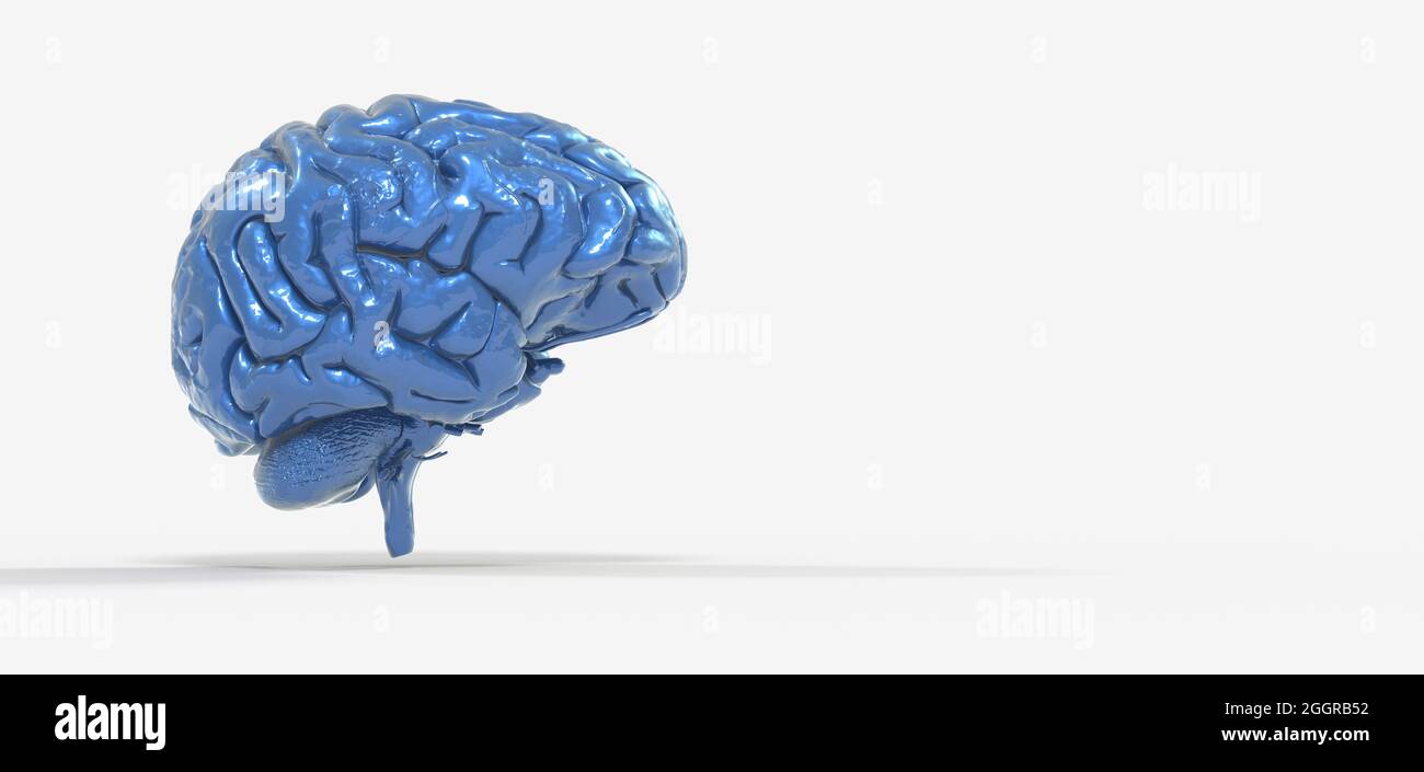 Colorful polygonal 3D brain illustration on BG Stock Photo - Alamy