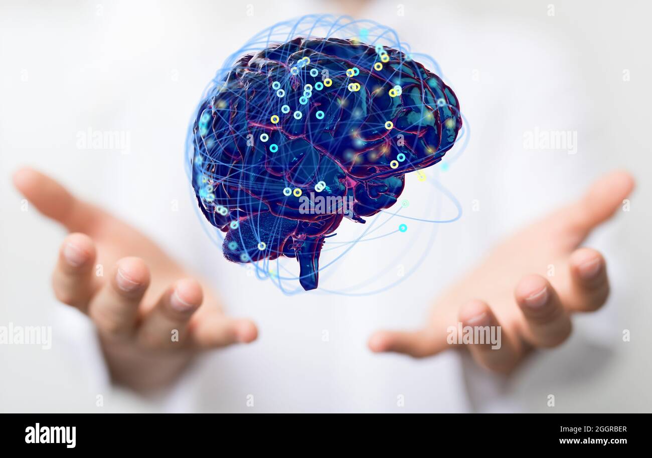 3d rendering of the human brain on technology background Stock Photo ...