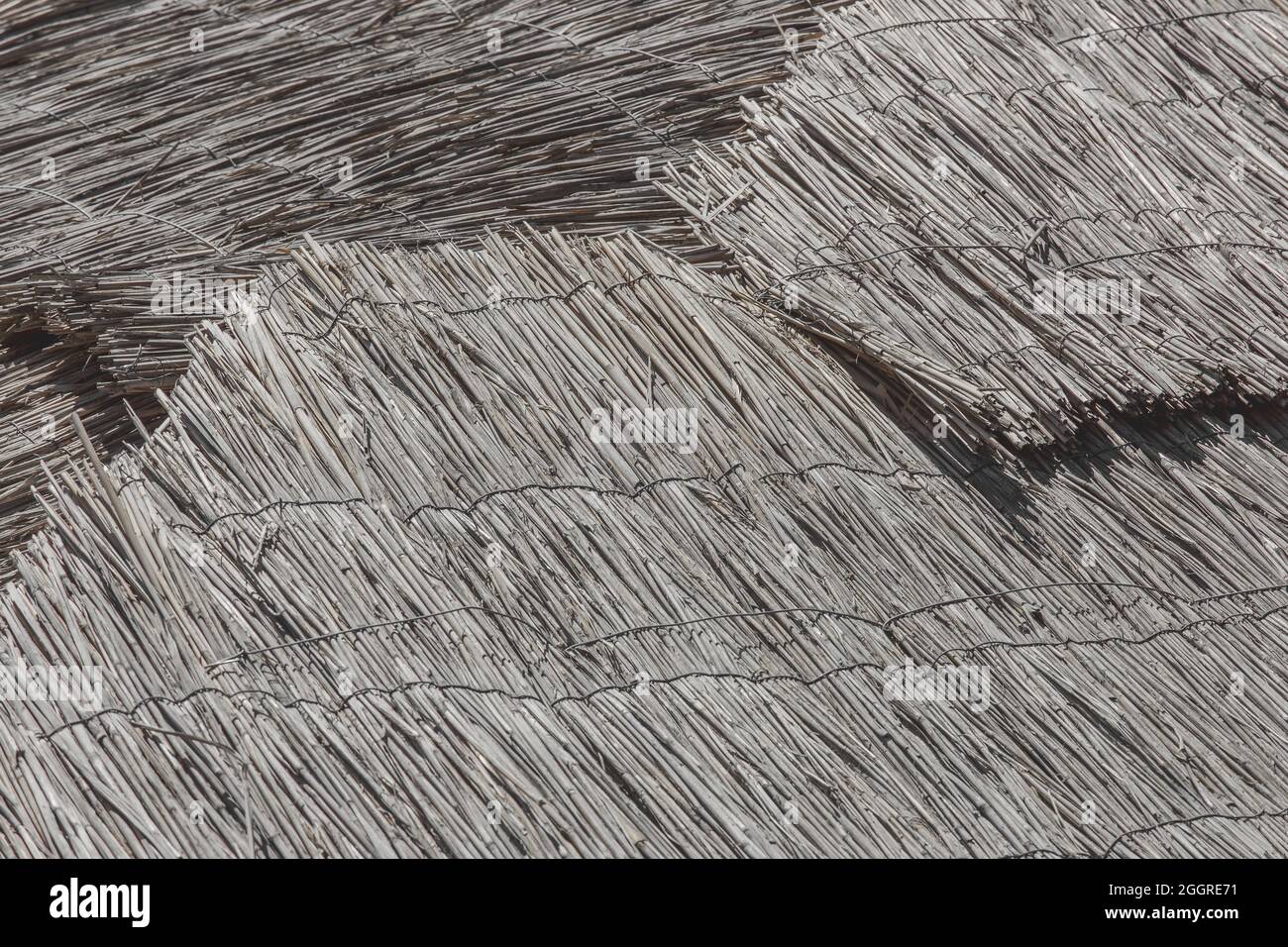 Tropical straw roof hut hi-res stock photography and images - Alamy