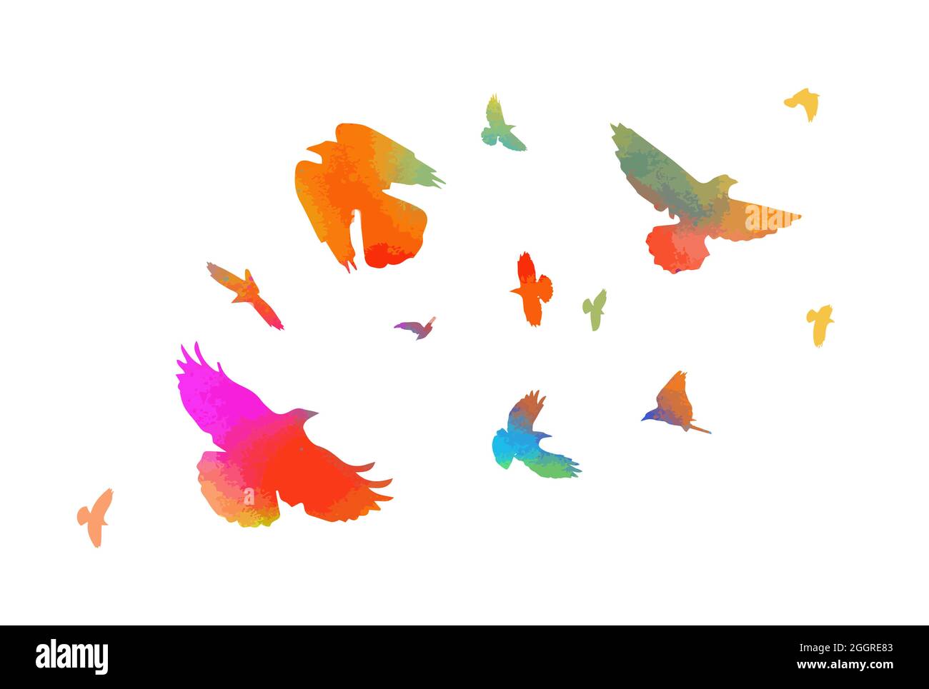 A flock of colorful birds. Vector illustration Stock Vector Image & Art ...