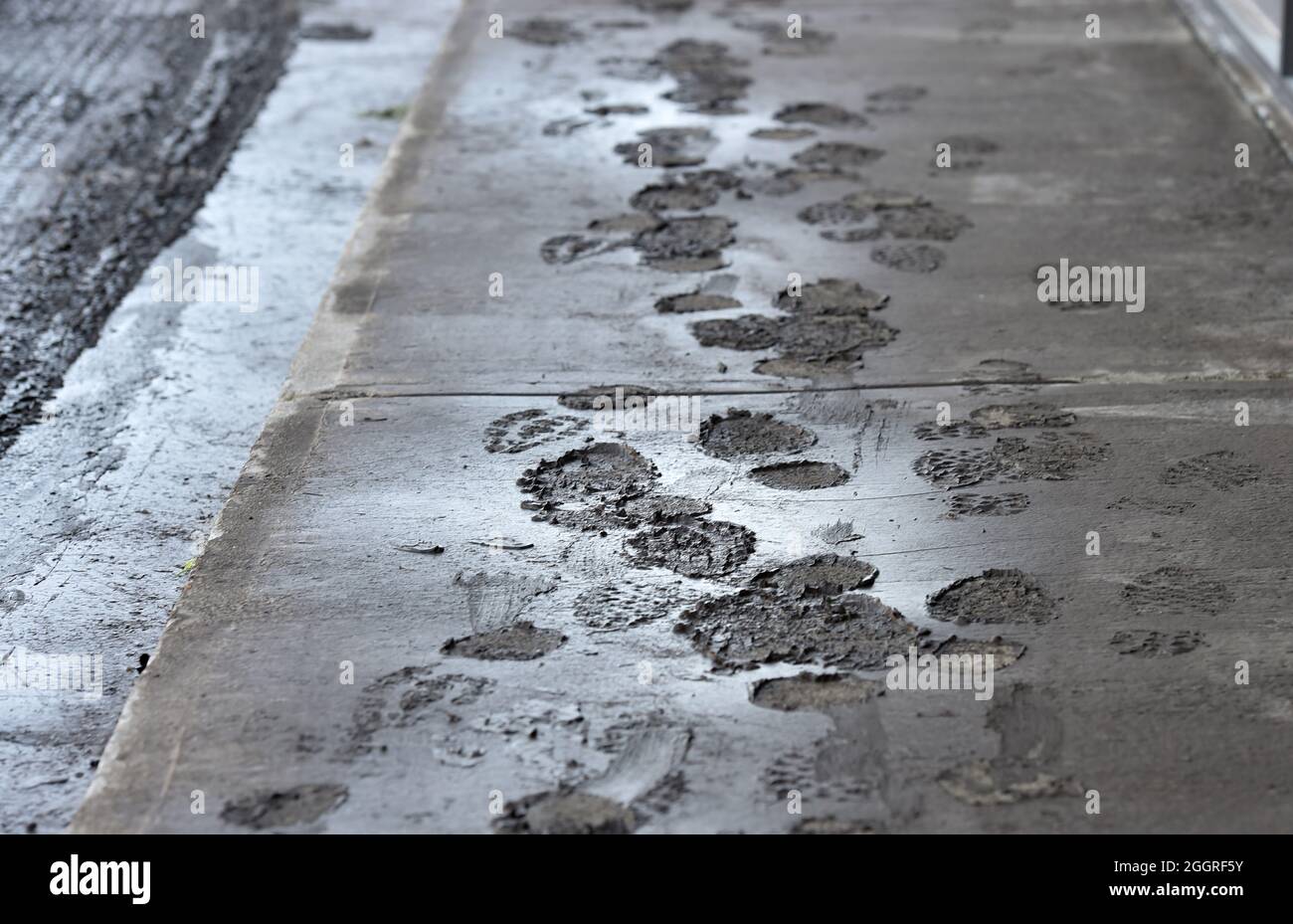 Receded water line hi-res stock photography and images - Alamy