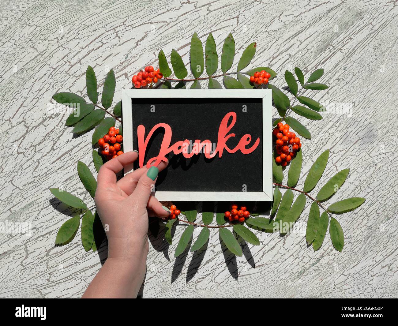 Text Danke, thank you in German language. Orange rowan berry with green ...