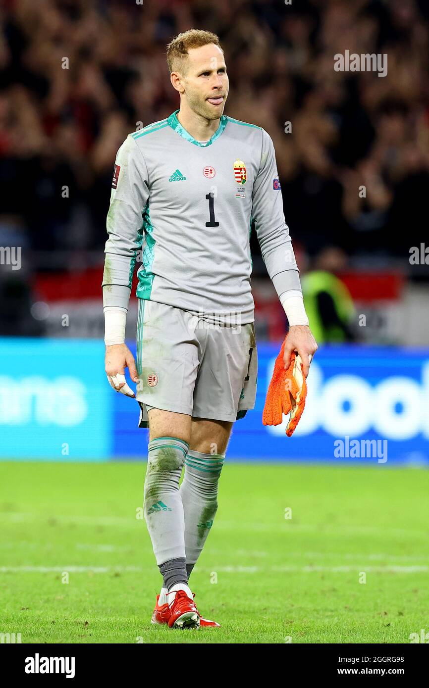 Hungary goalkeeper Peter Gulacsi looks dejected after the 2022 FIFA ...