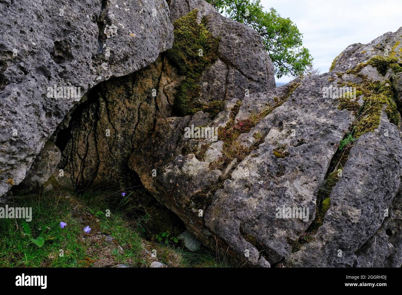 Roystone Rocks in the White Peak of Derbyshire with weathered textures ...
