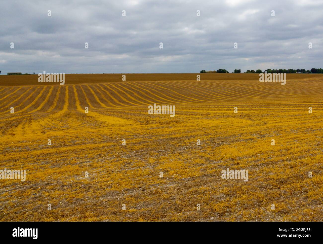 Beautiful autumn field uk hi-res stock photography and images - Alamy
