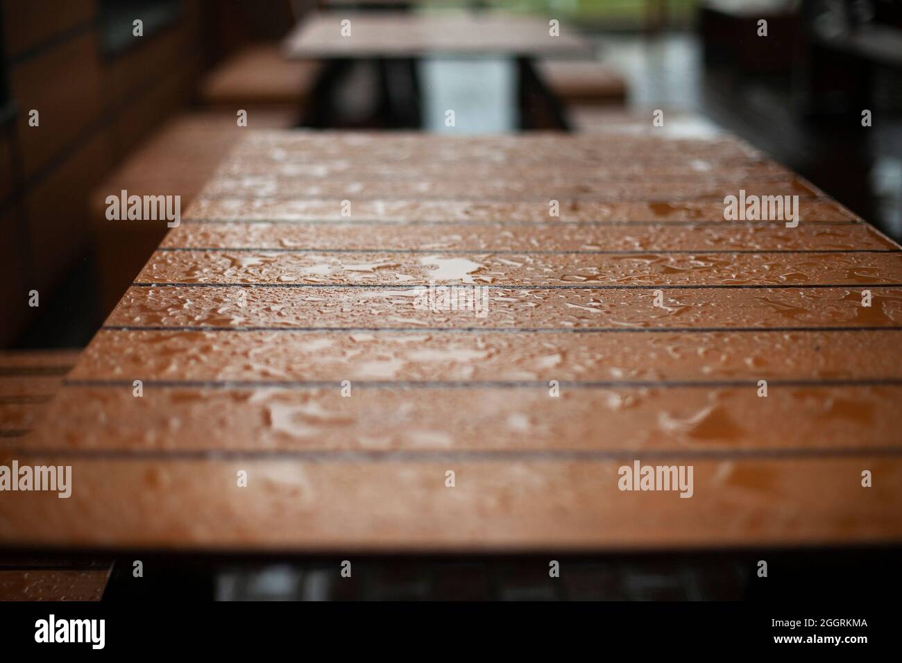 Wet board. Water droplets on the surface. Details of the bench in rainy ...