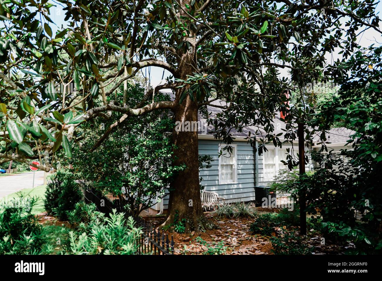 A revently renovated blue small cottage style house Stock Photo - Alamy