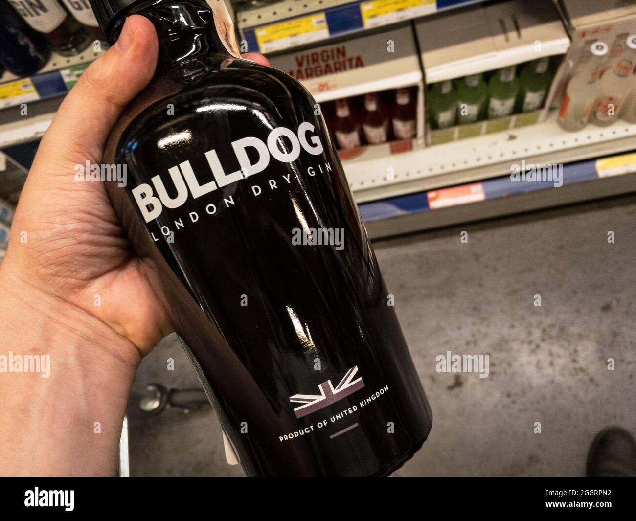 Bulldog gin logo hi-res stock photography and images - Alamy