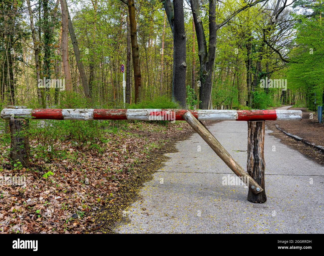 Wooden Barrier In A Berlin Forest Stock Photo - Alamy