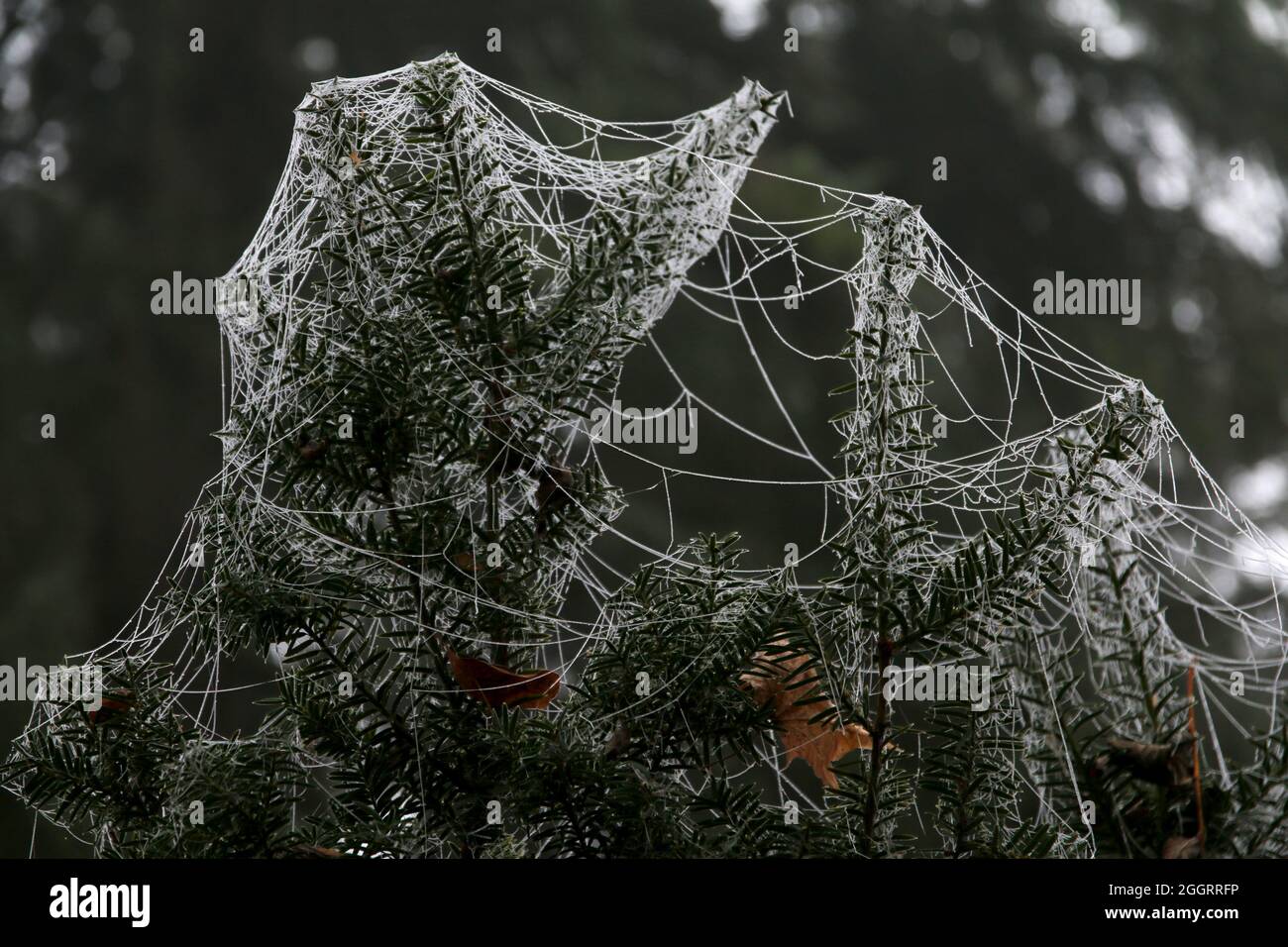 Super Package Without Any Plastic Material Stock Photo - Alamy