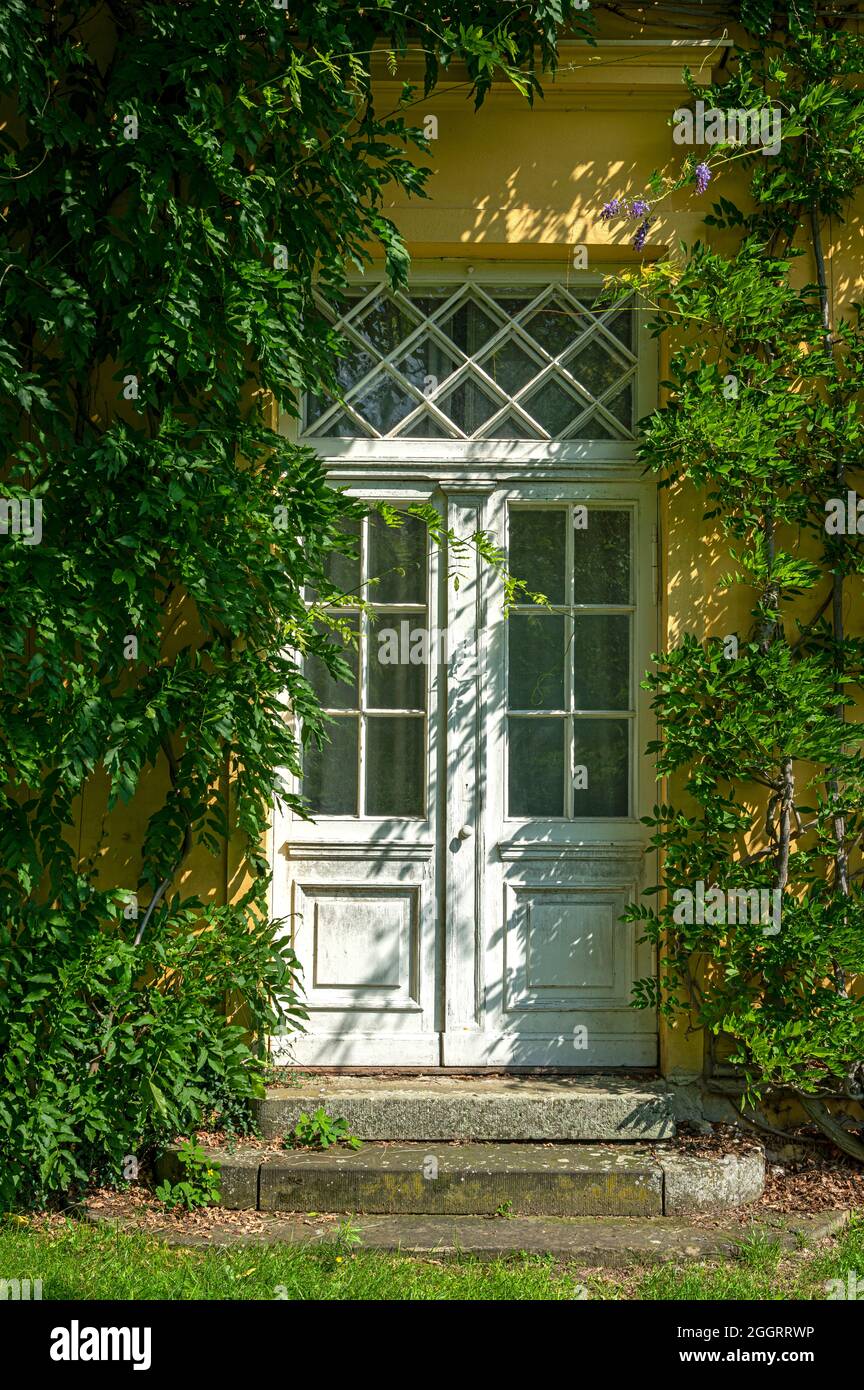 Vine Plants On A House Front Stock Photo - Alamy